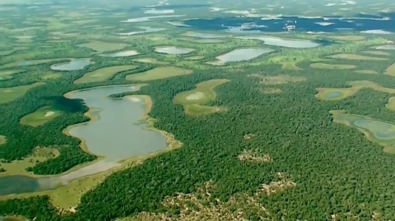 Největší bažina | Stream