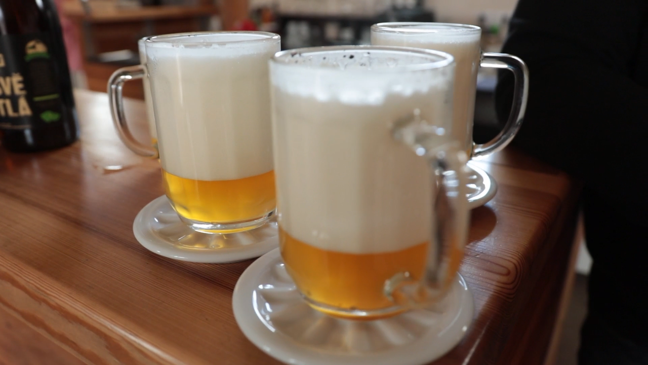 Ležák vs. Ale. Jaký typ piva zvítězí? | Stream