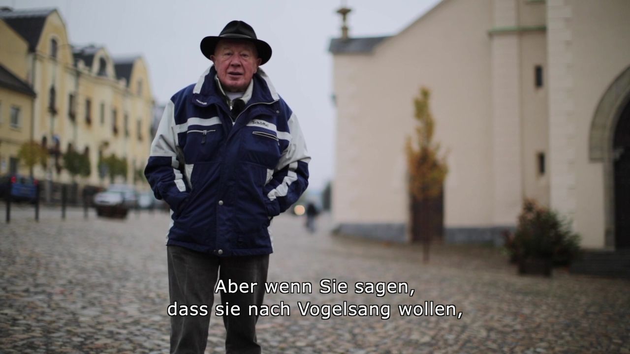 Vogelsang | Stream
