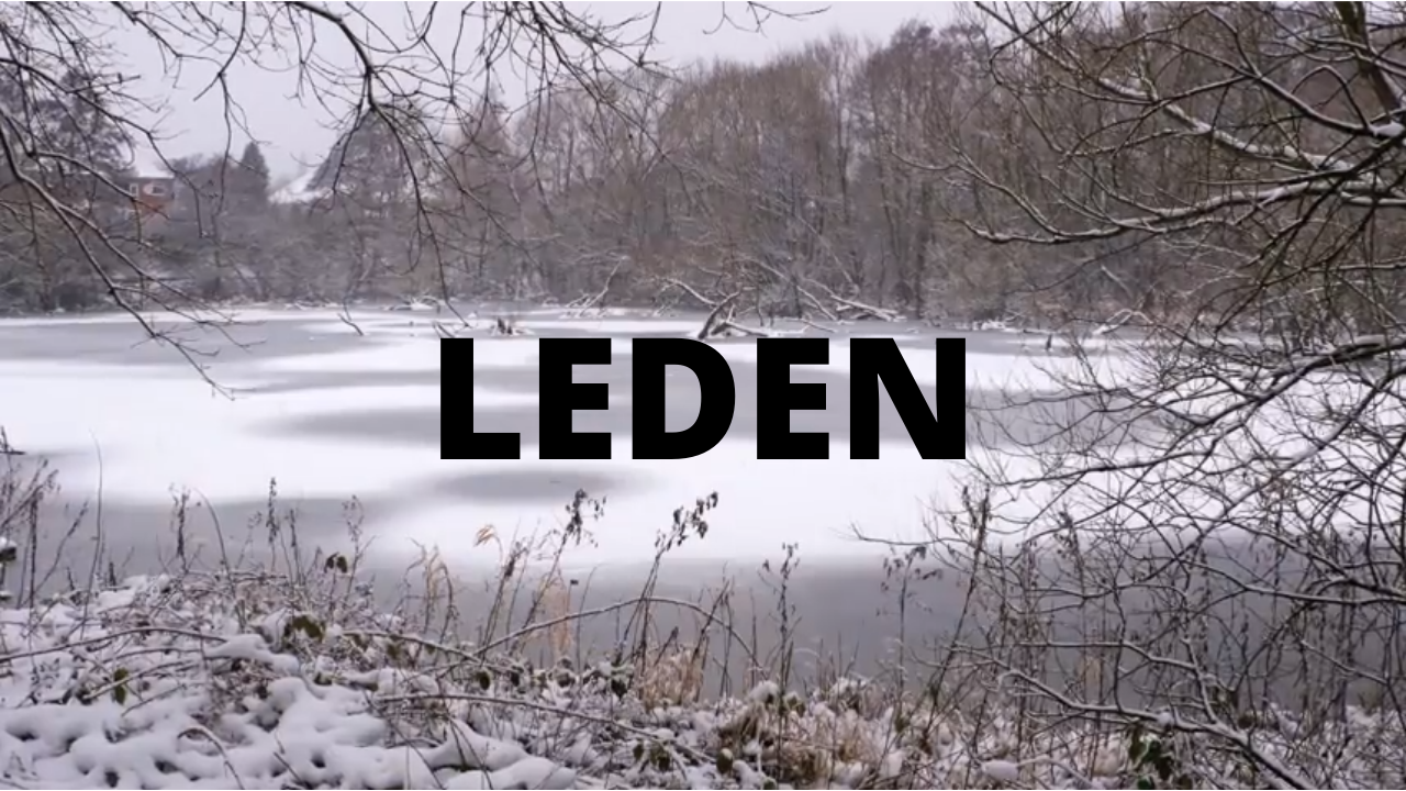 Proč je leden leden? Názvy českých měsíců vysvětleny! | Stream