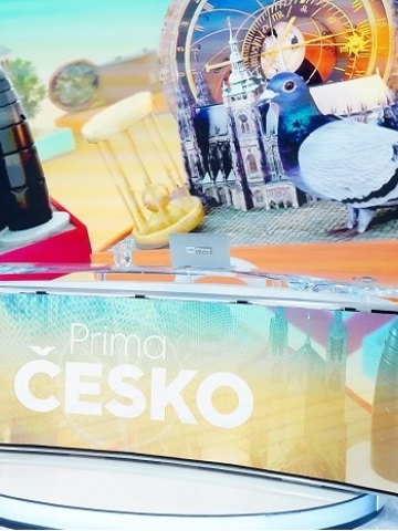 Prima ČESKO | TV Program