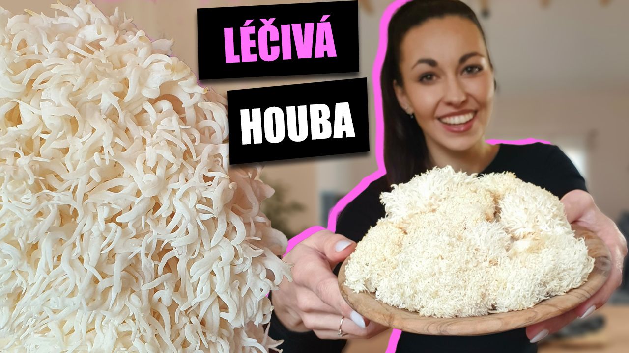 Korálovec ježatý - Léčivá houba proti demenci | Stream