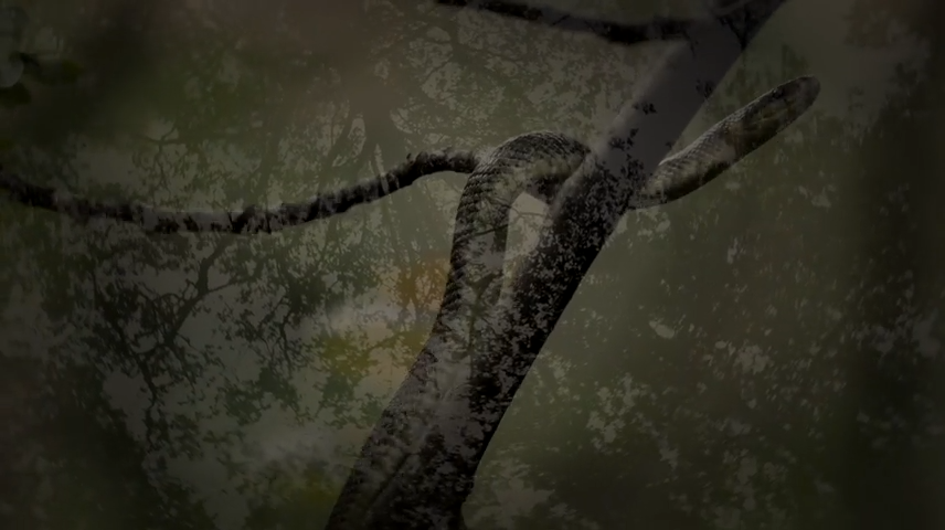 Hvízdající had, rusalky, vodníci. Existuje vysvětlení pro česká ...