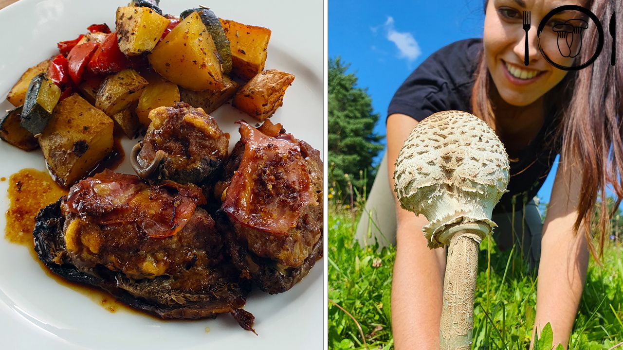 Bedla | Houby recept | Stream